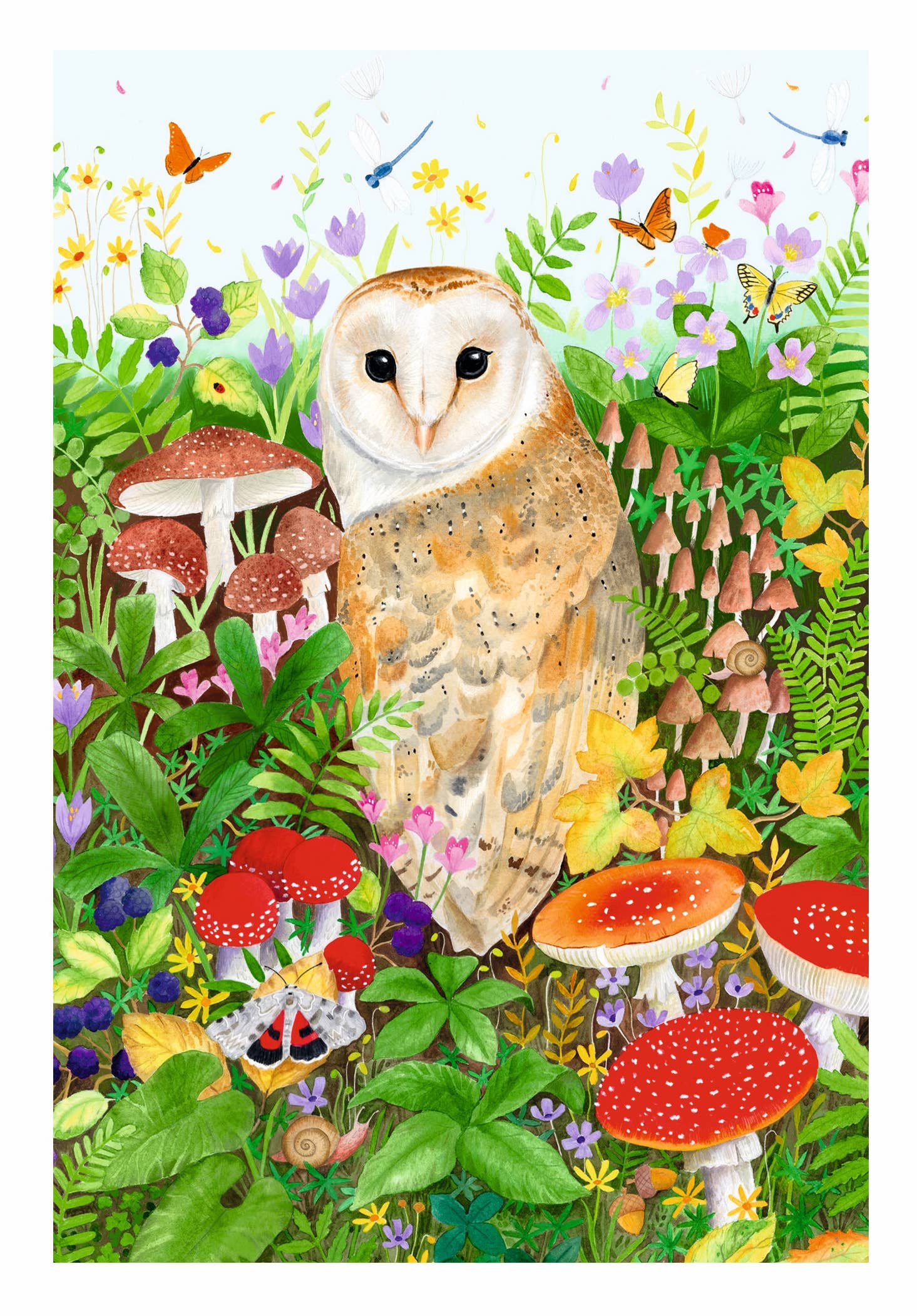 BLANK OWL GREETING CARD ABACUS